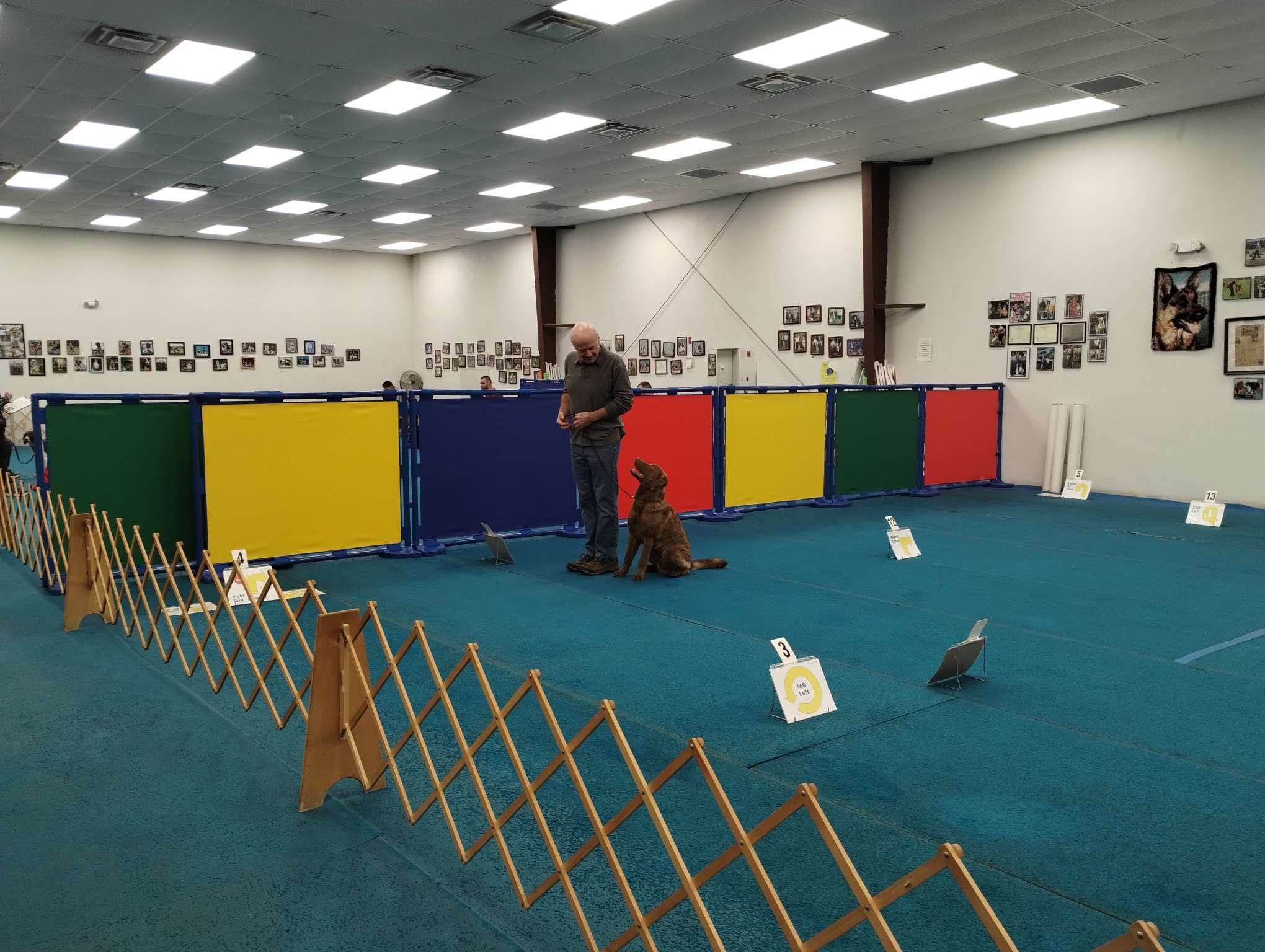 Rally-O: A Fun and Engaging Way to Train Your Dog