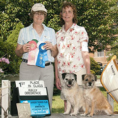 Dog Trainers on Cape Cod | Professional Dog Training